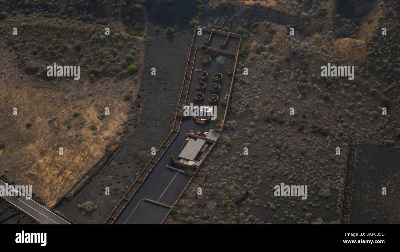 Aerial view of a beautiful vineyard farm with volcanic soil and scenic ...