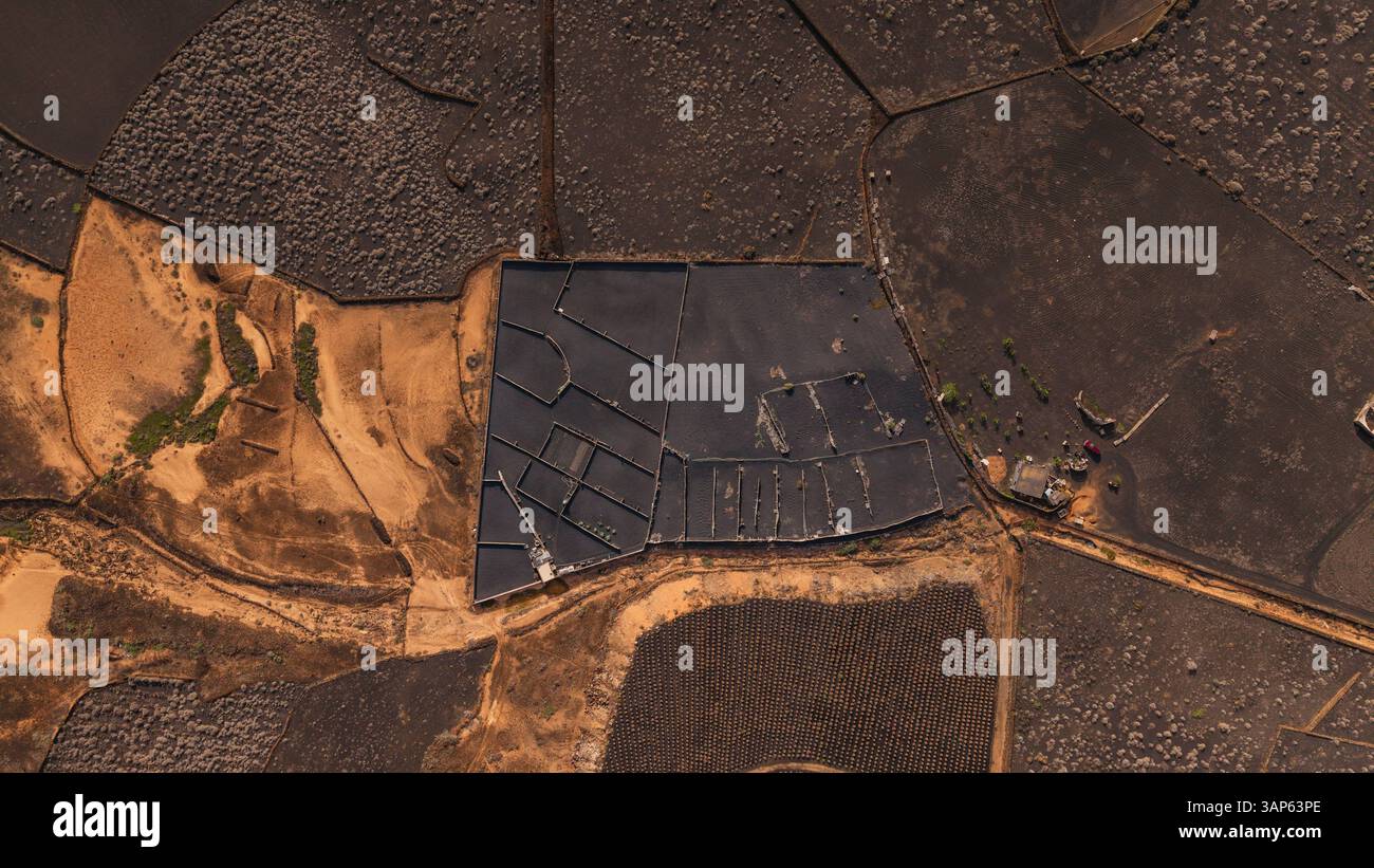 Aerial view of traditional vineyards with dry stone walls and geometric ...