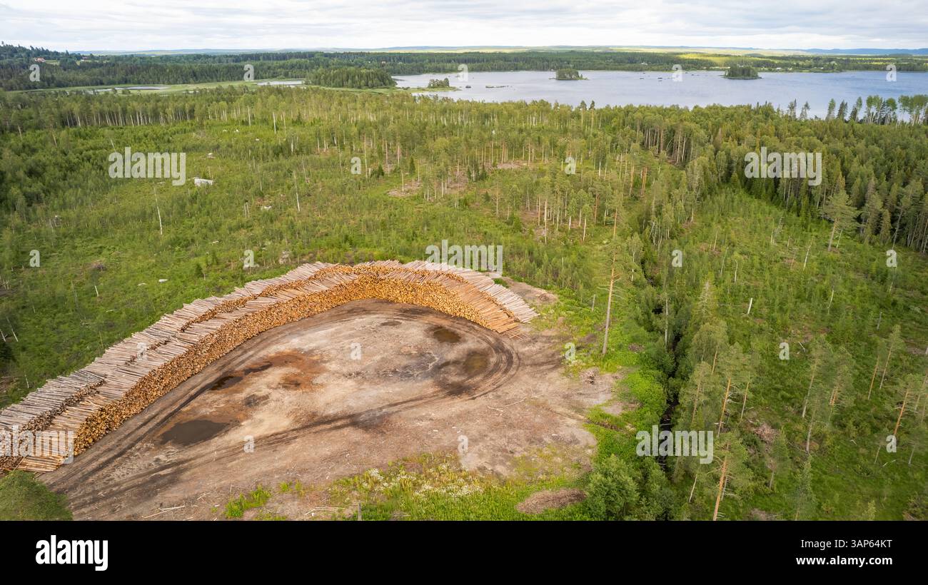 Aerial view of a wood factory amidst deforestation and logging in a ...