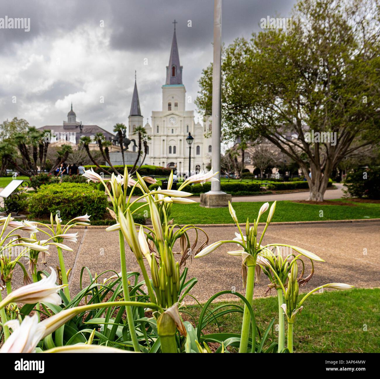 Steeple st louis cathedral hi-res stock photography and images - Alamy