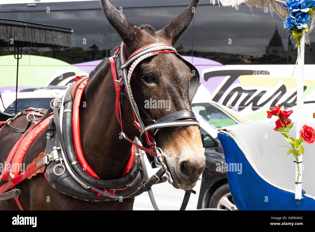 French city moment hi-res stock photography and images - Alamy