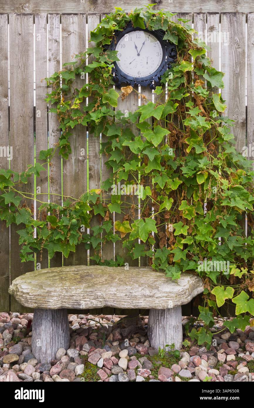 Rock border with stone sitting bench, thermo hydrometer clock and ...