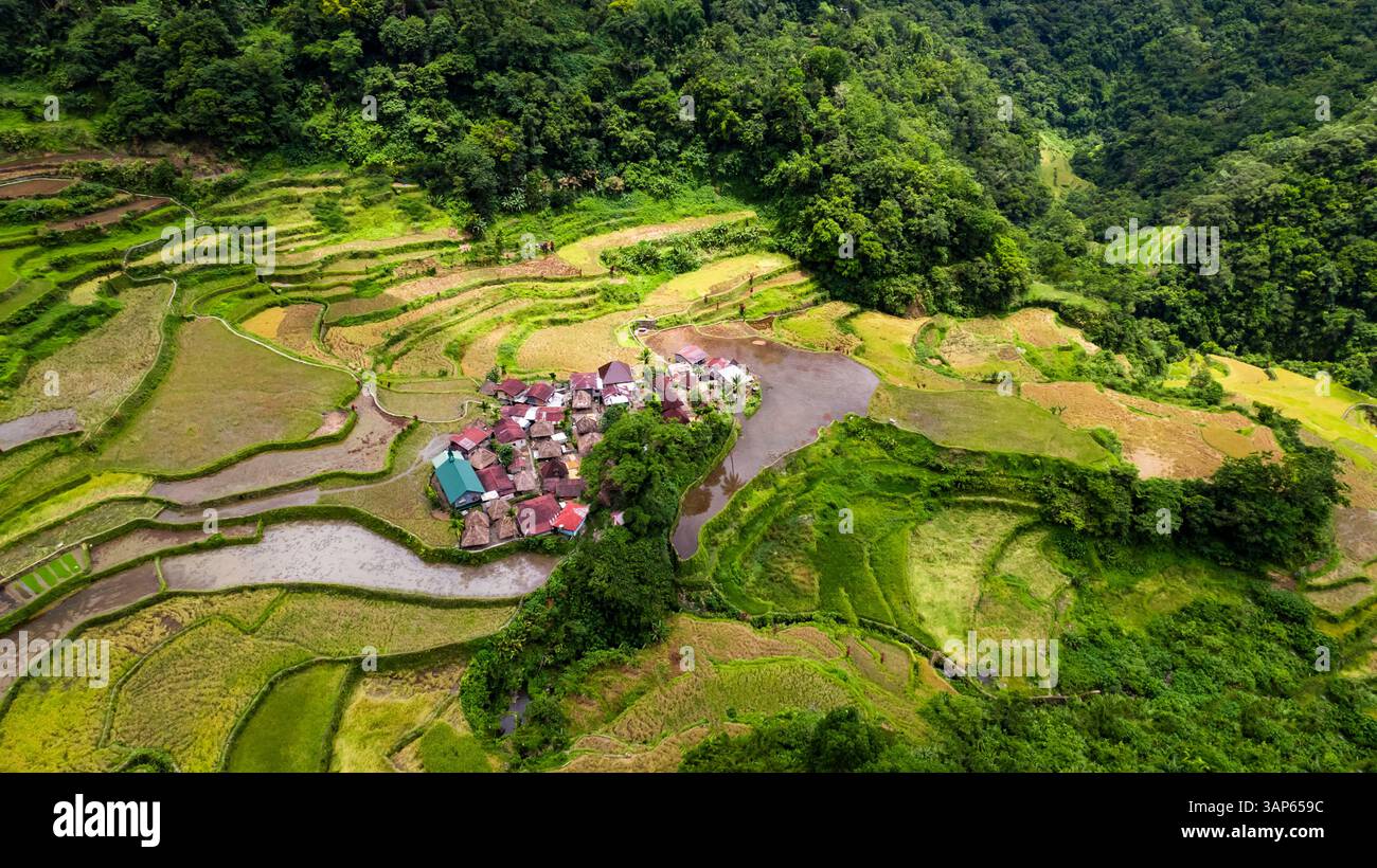 Aerial view of rice terraces in Bangaan Village, Sagada, Mountain ...