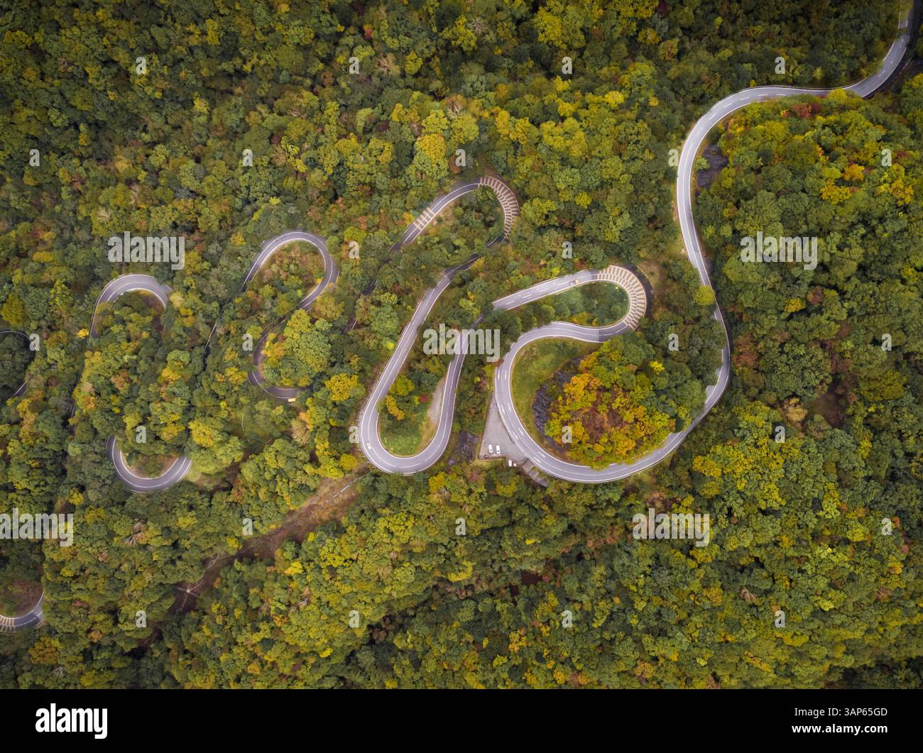 Aerial view of winding road through forest in the countryside of Japan ...