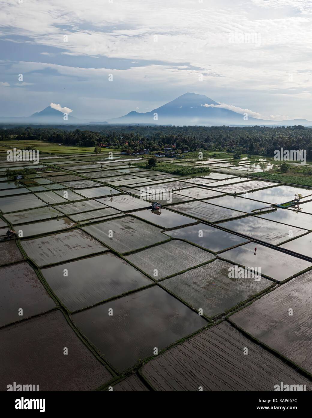 Aerial Drone view of Bongkasa Rice Terrace with Batur and Bratan ...