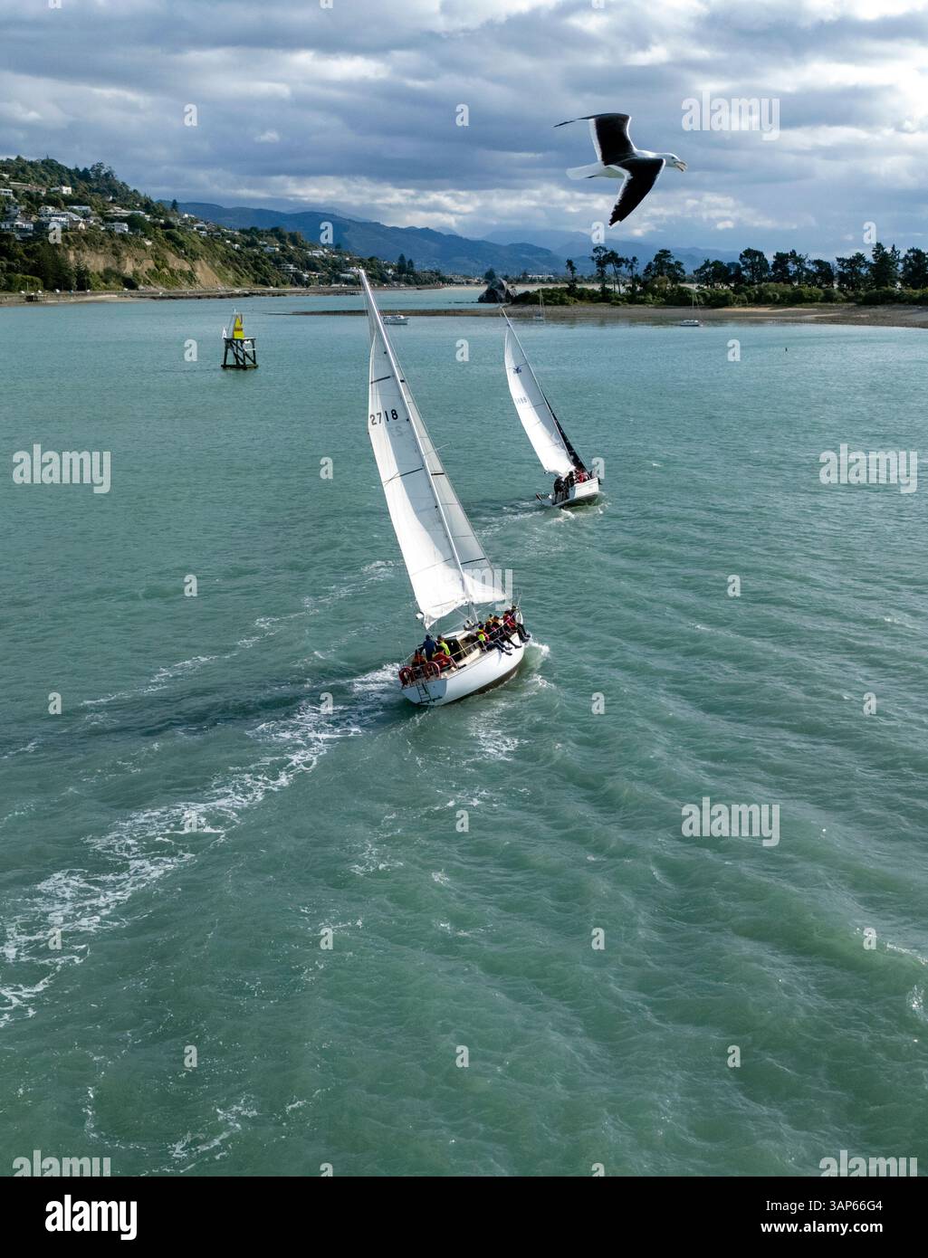 Nelson, New Zealand - 20 November 2024: Aerial view of sailing race ...