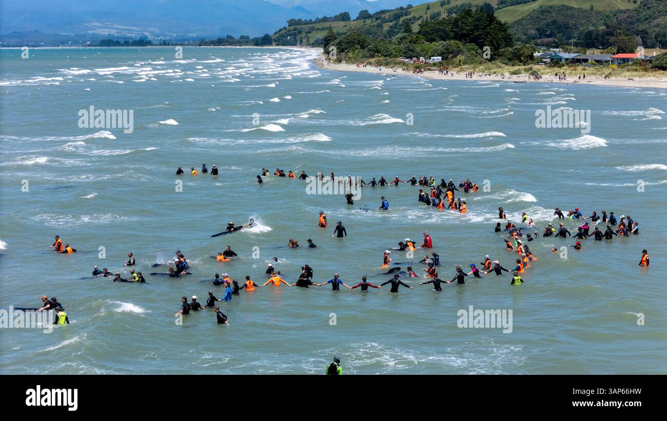 Collingwood, New Zealand - 19 January 2025: Aerial view of whale ...