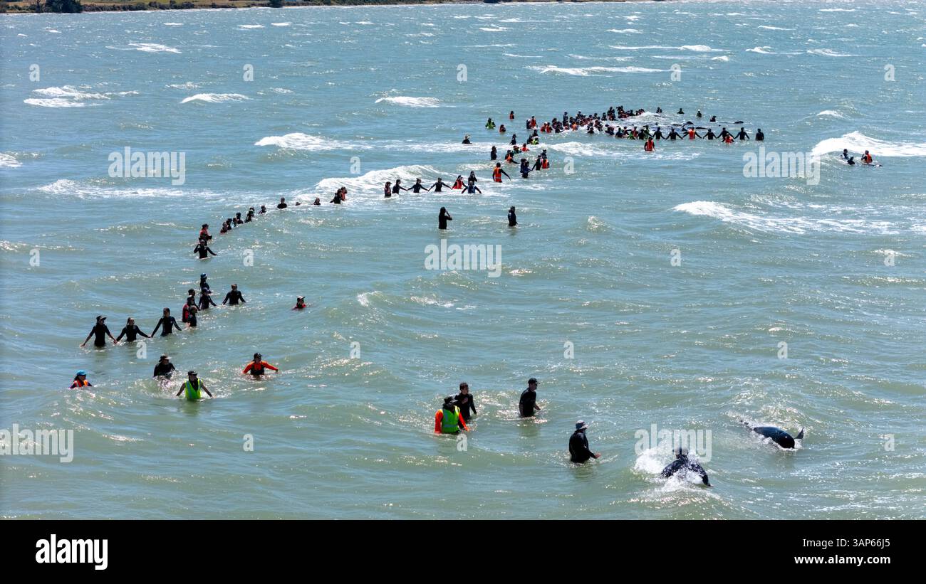 Collingwood, New Zealand - 19 January 2025: Aerial view of whale ...