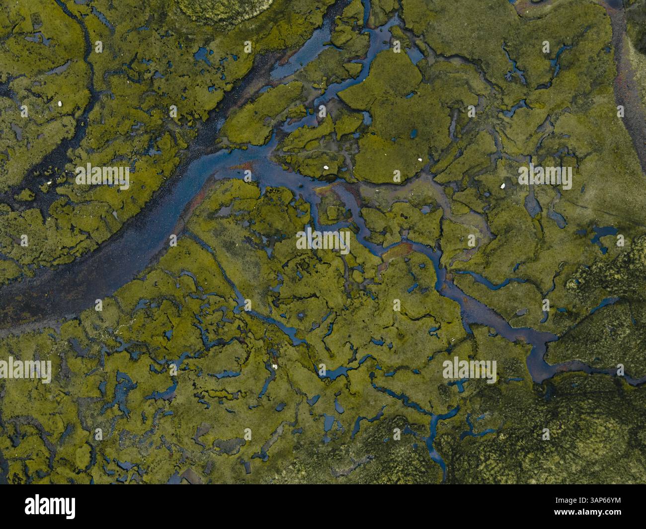 Aerial view of lush highlands landscape with intricate patterns of ...