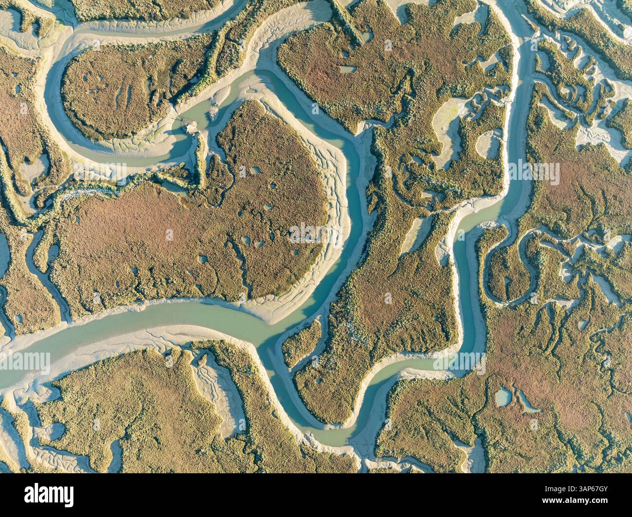 Aerial view of beautiful marshland with serpentine streams and unusual ...