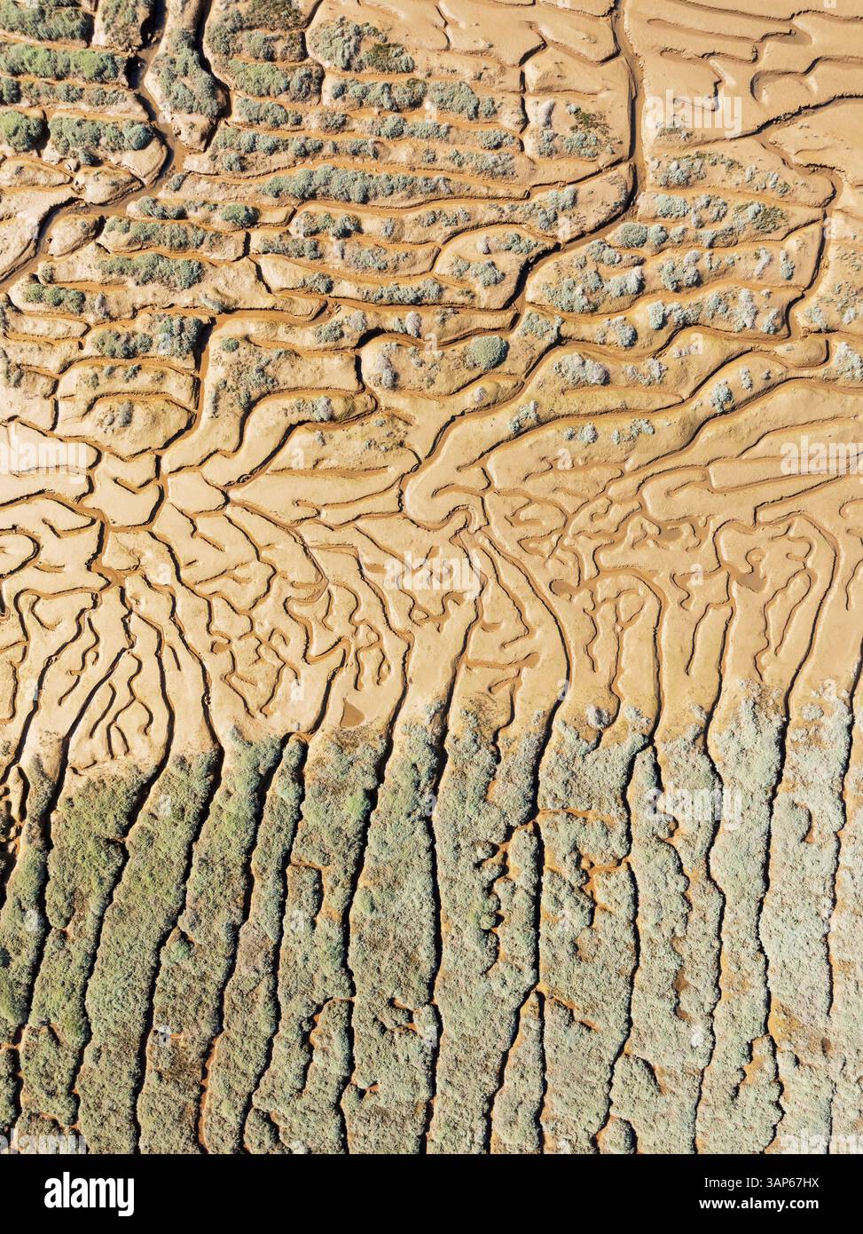 Aerial view of the winding Odiel river with beautiful natural patterns ...