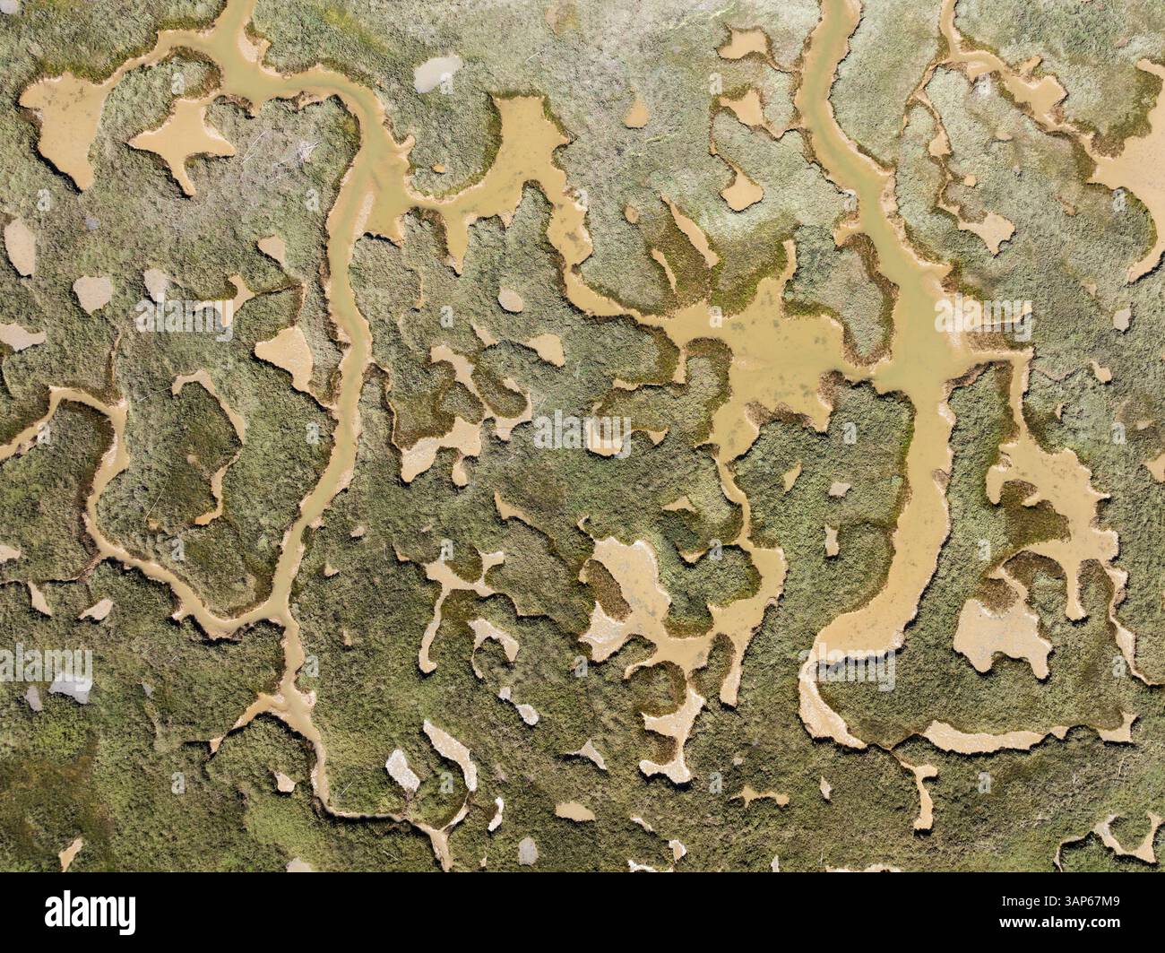 Aerial view of serpentine patterns of the Piedras river in beautiful ...