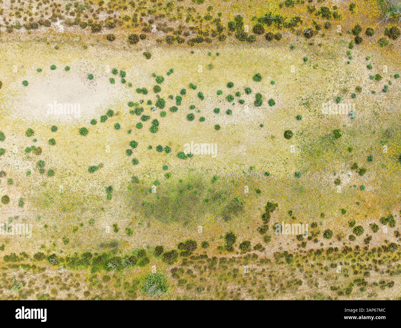 Aerial view of serene marshland with lush vegetation and scenic ...