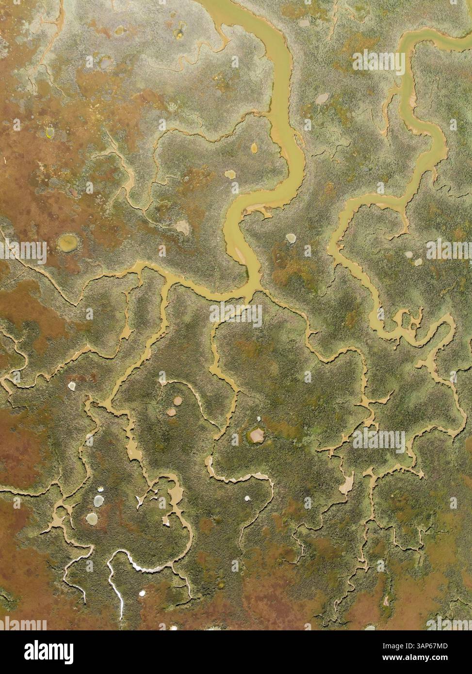 Aerial view of the serpentine and beautiful Piedras River meandering ...
