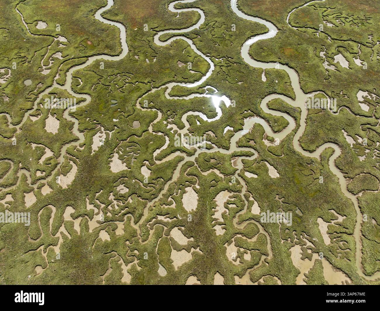 Aerial view of the serpentine Piedras river meandering through ...