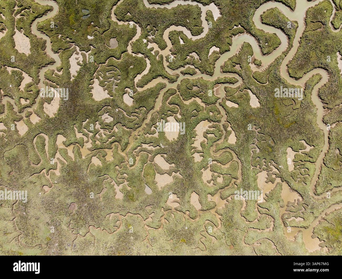 Aerial view of the serpentine and intricate patterns of the Piedras ...