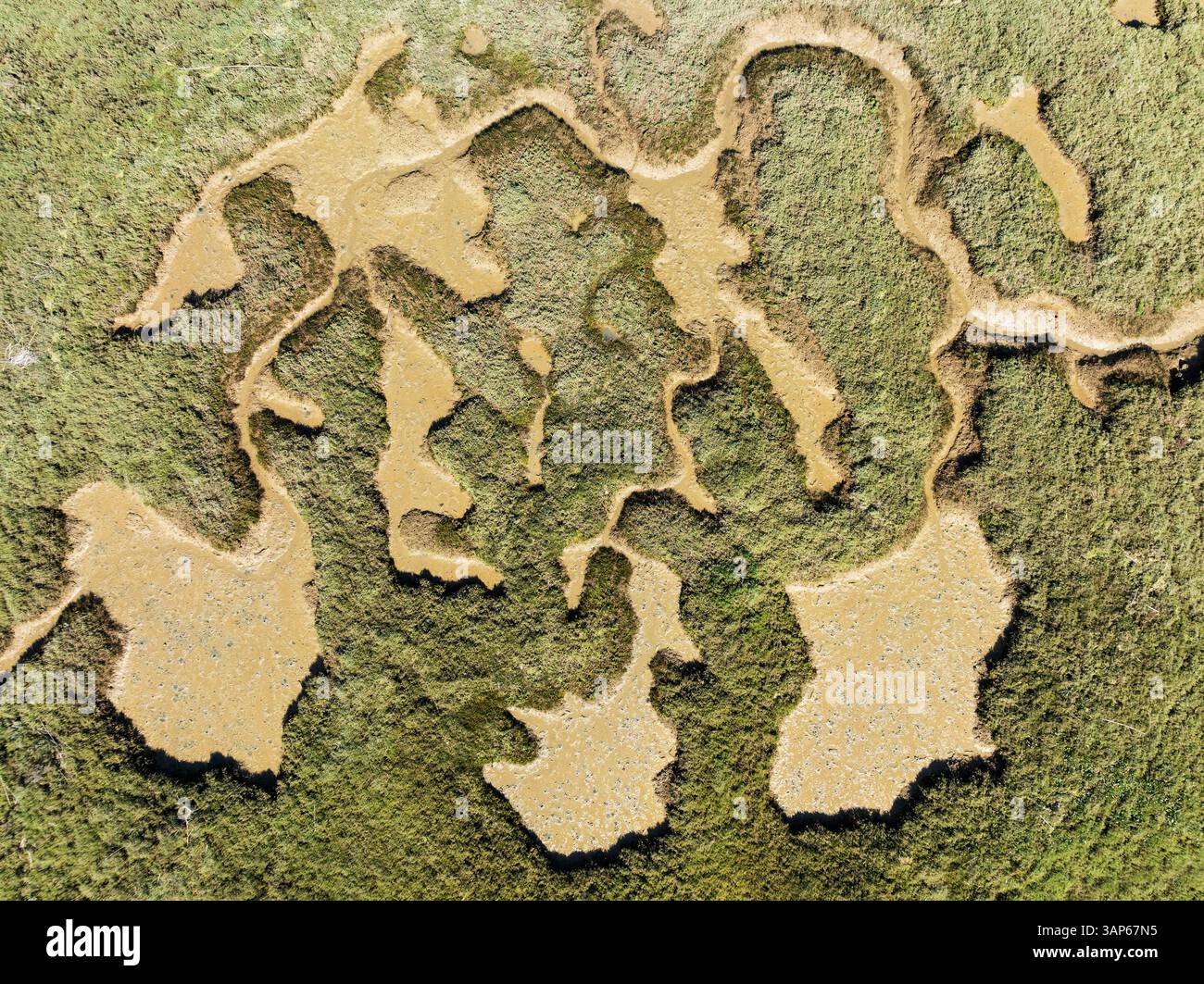 Aerial view of serpentine Piedras river winding through beautiful ...