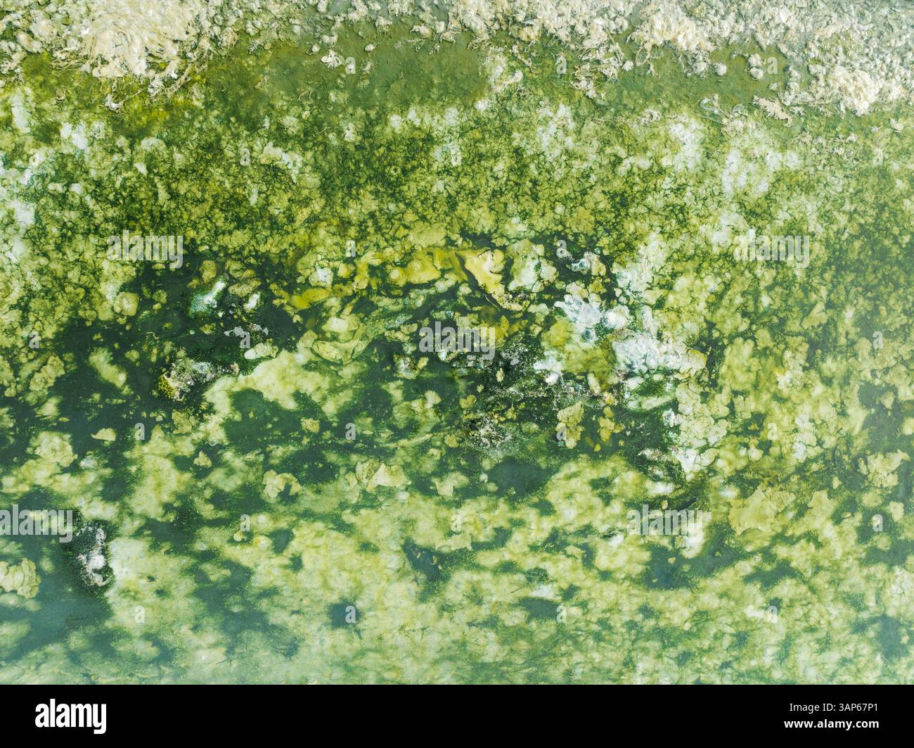 Aerial view of salt marsh with beautiful greenish water and abstract ...