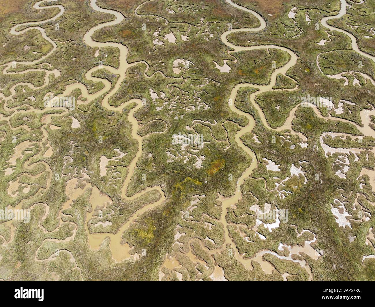 Aerial view of the serpentine and silty Piedras river with beautiful ...