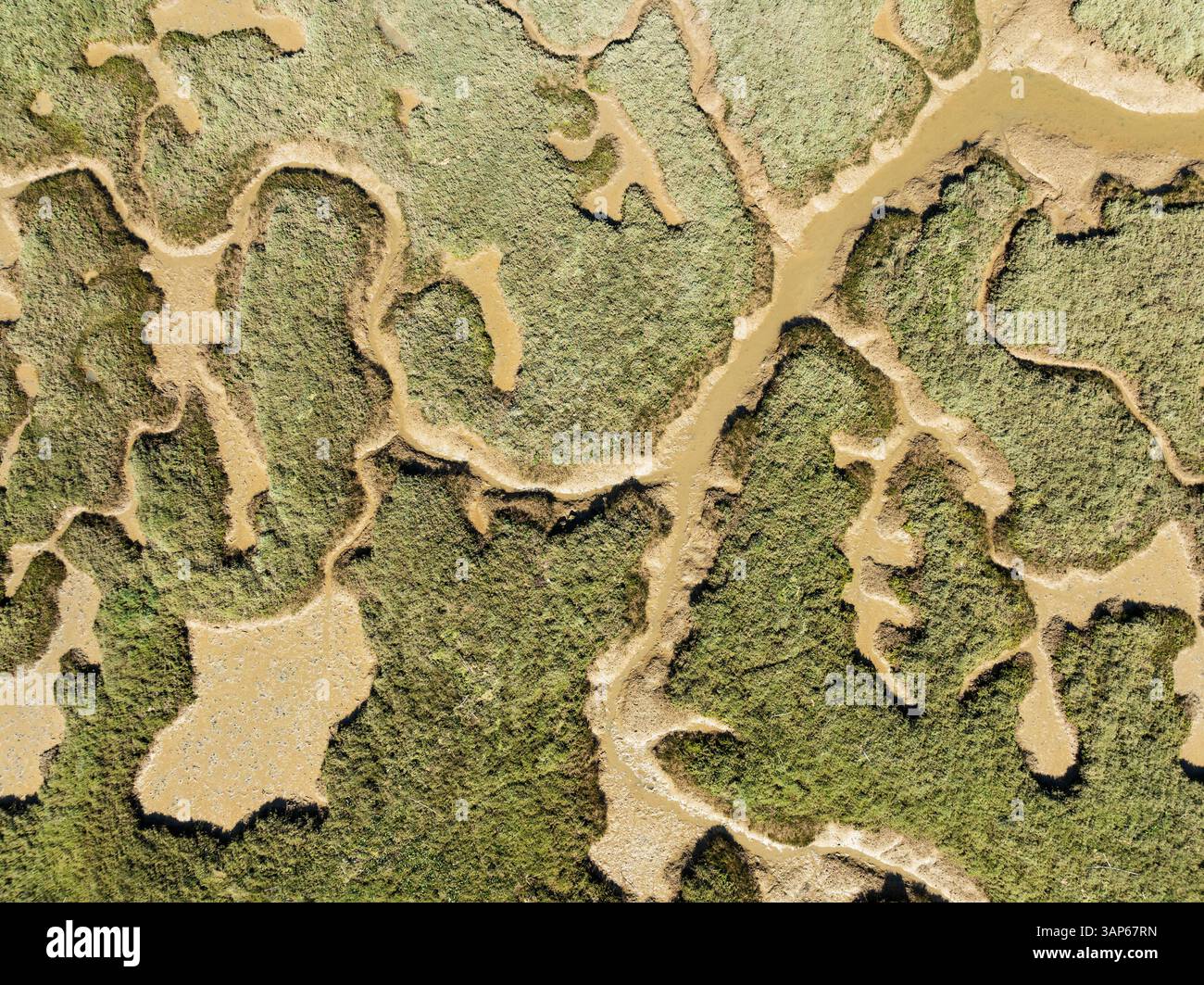Aerial view of beautiful serpentine patterns of Piedras river in ...