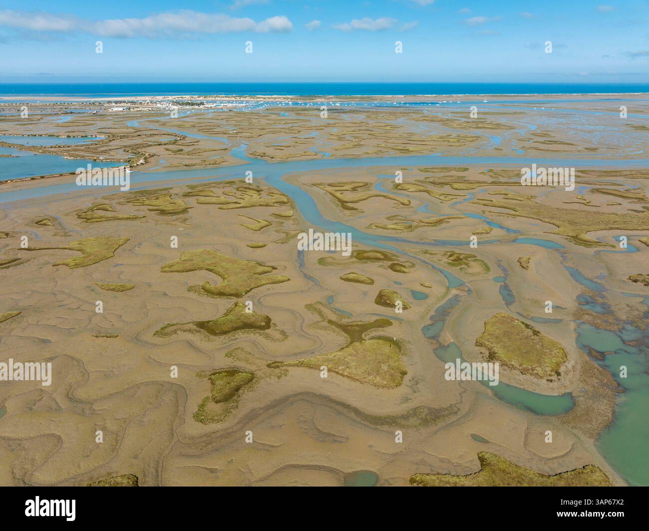 Aerial view of tranquil wetlands and meandering streams with beautiful ...