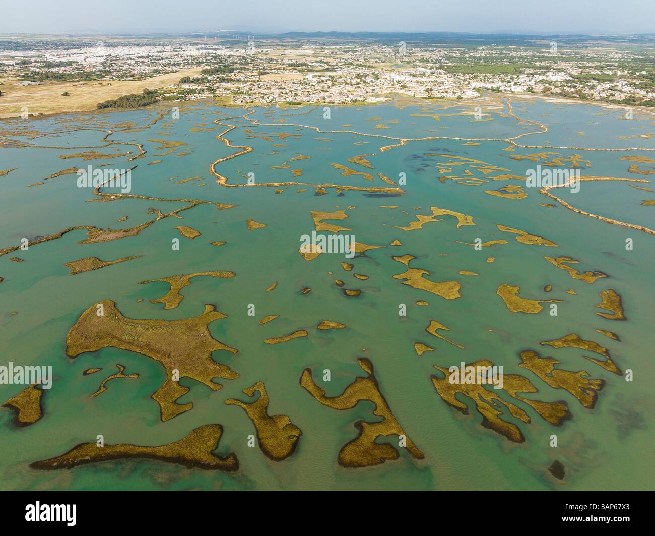 Aerial view of beautiful wetlands with serene water and vibrant ...