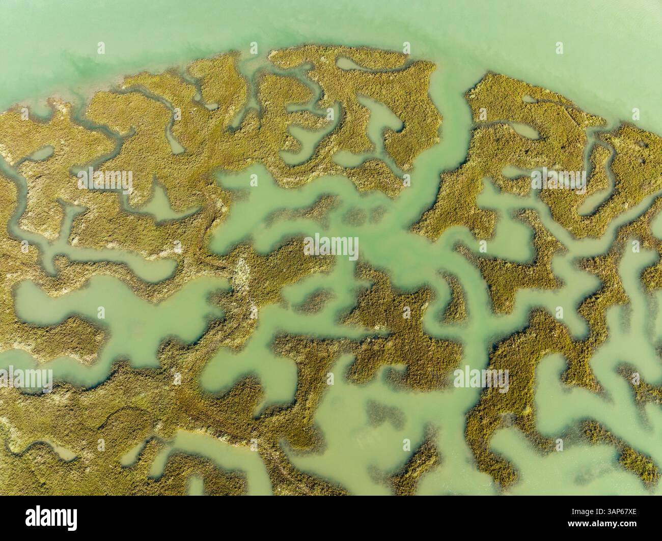 Aerial view of beautiful marshland and winding waterways with lush ...