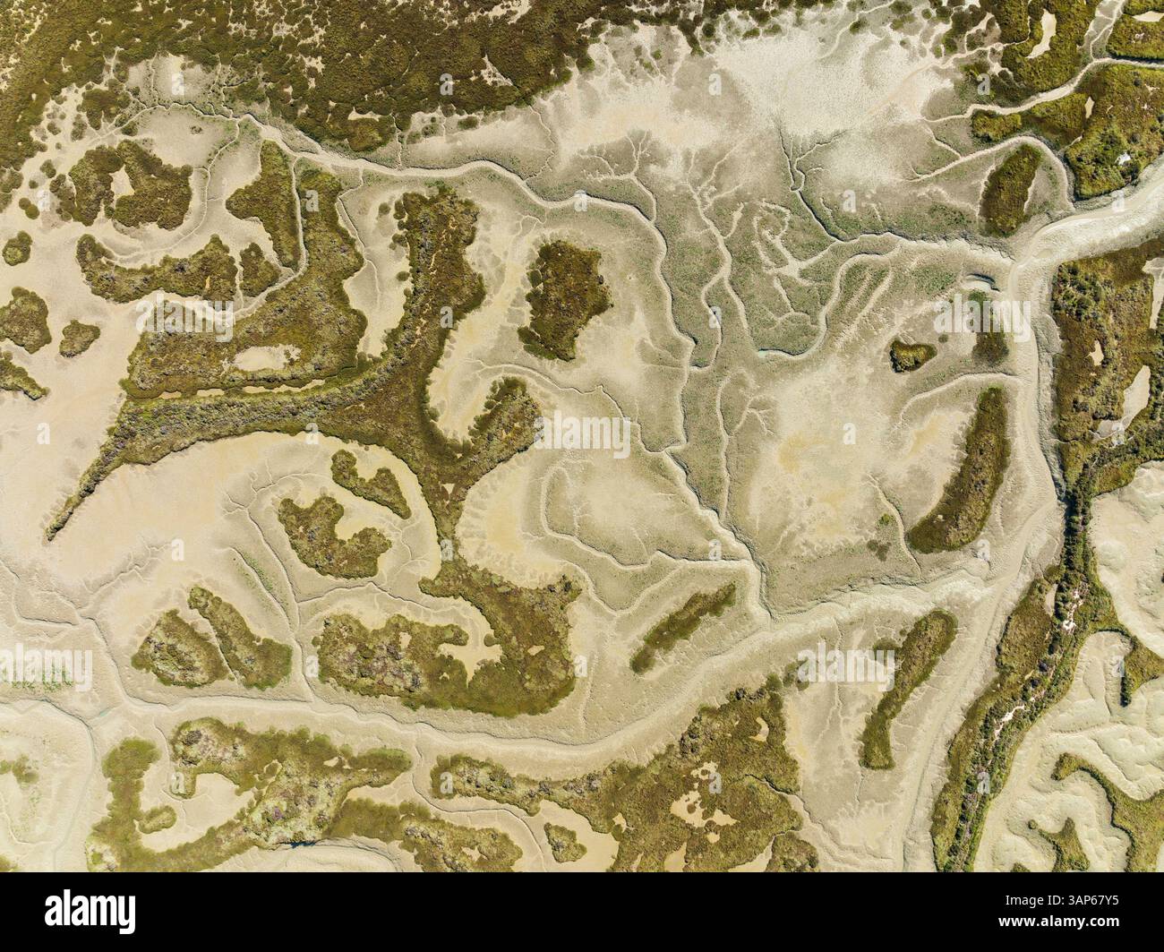 Aerial view of beautiful wetlands and serpentine river with abstract ...