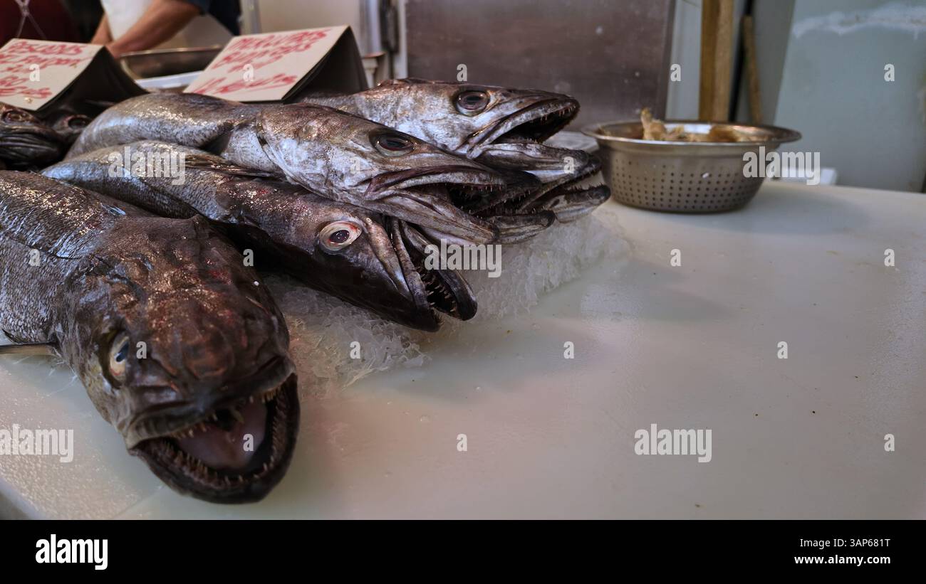 Fishmonger showing fresh fish lying hi-res stock photography and images ...