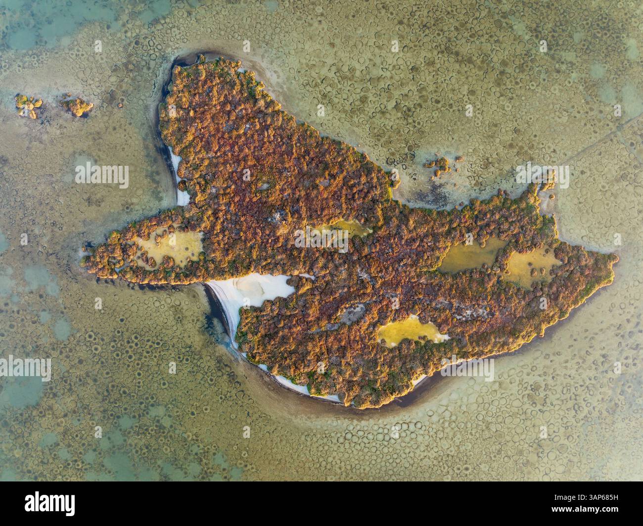 Aerial view of colorful wetlands and marshlands with island habitat ...