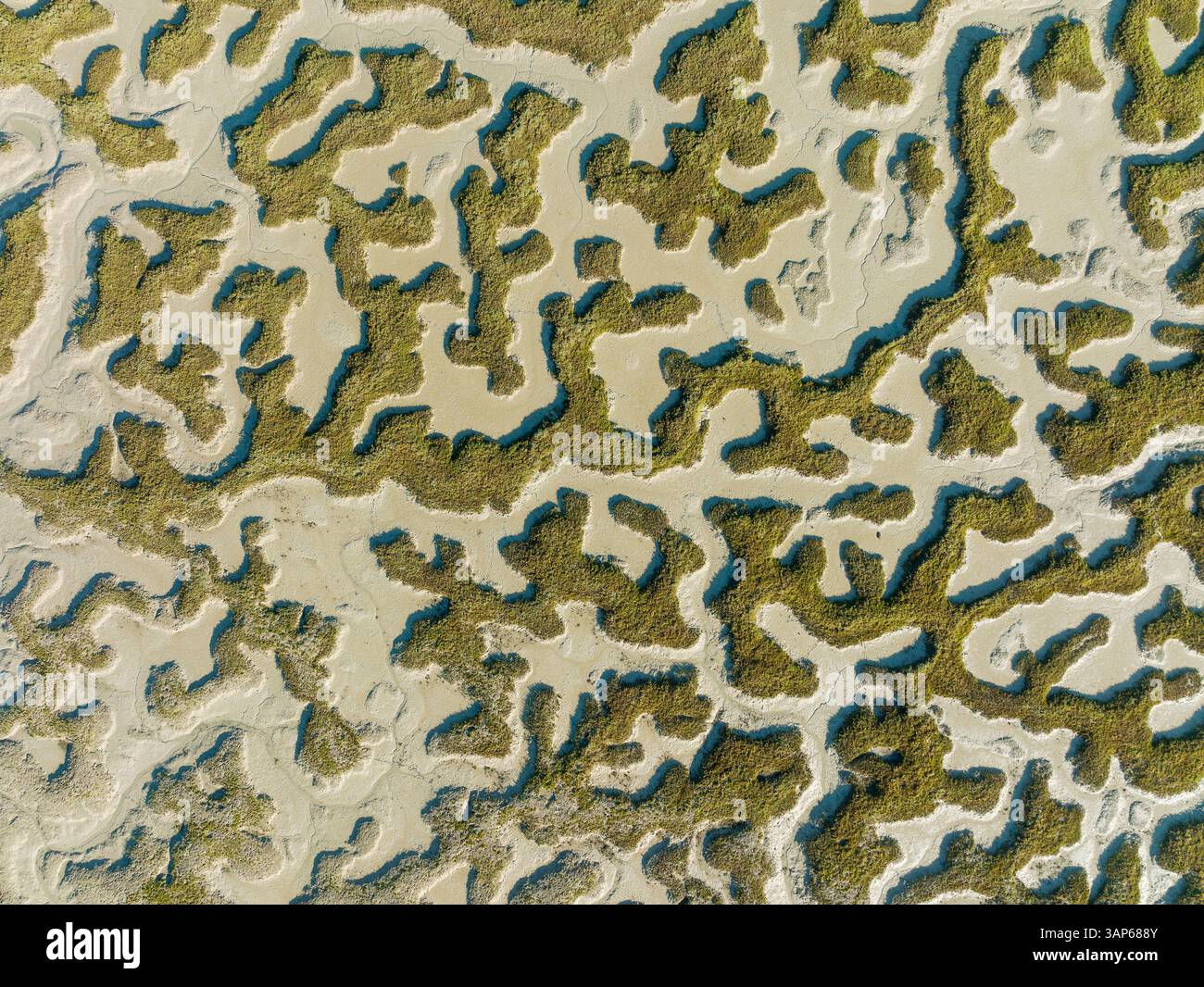 Aerial view of beautiful marshland patterns and winding waterways in ...