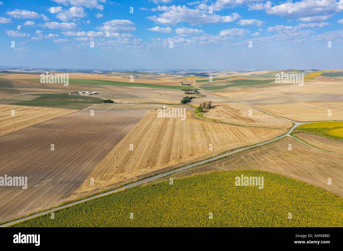 Aerial view of expansive agricultural fields with plowed crops under a ...