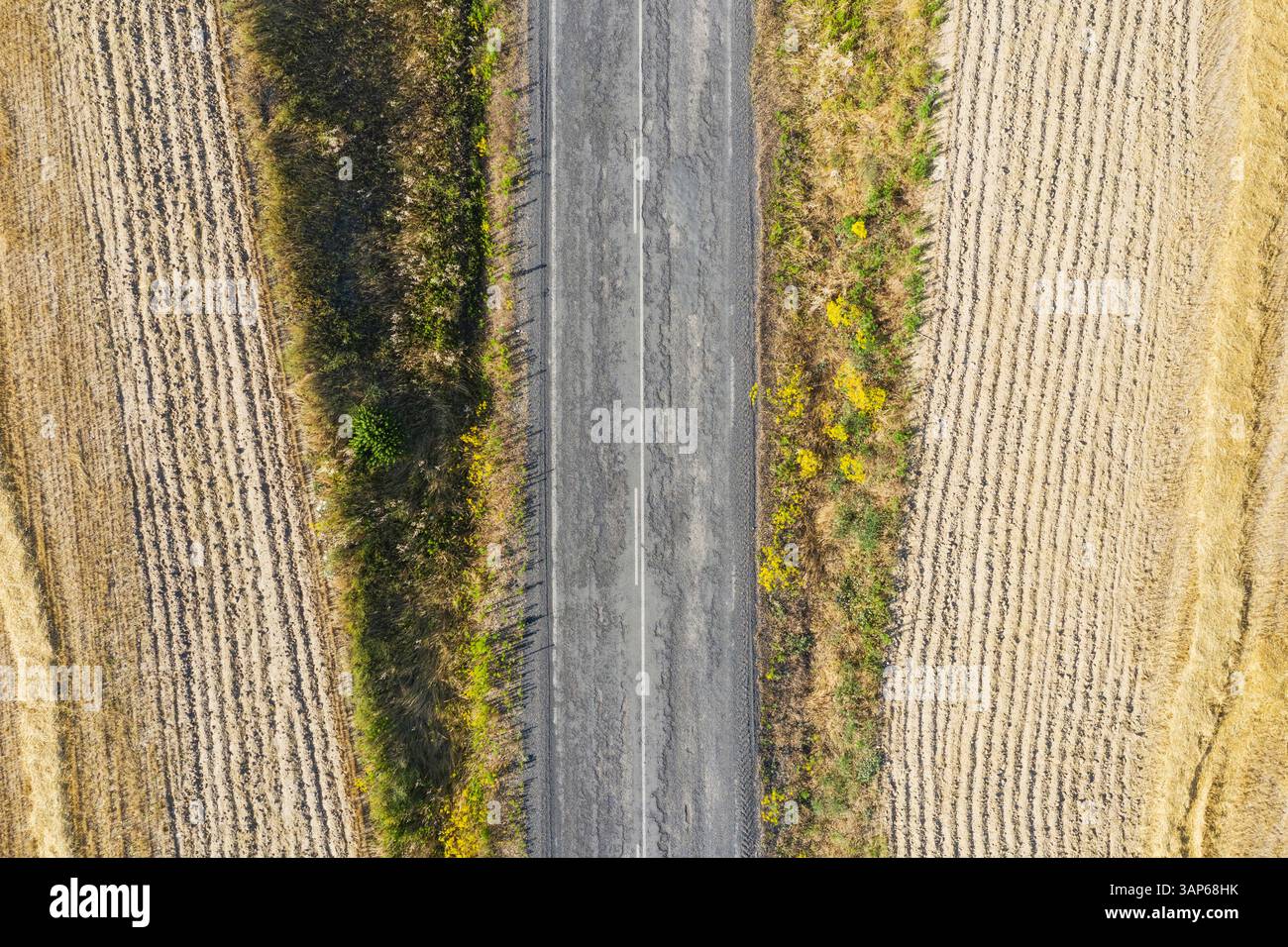 Aerial view of a beautiful cornfield with a scenic road, Cordoba ...