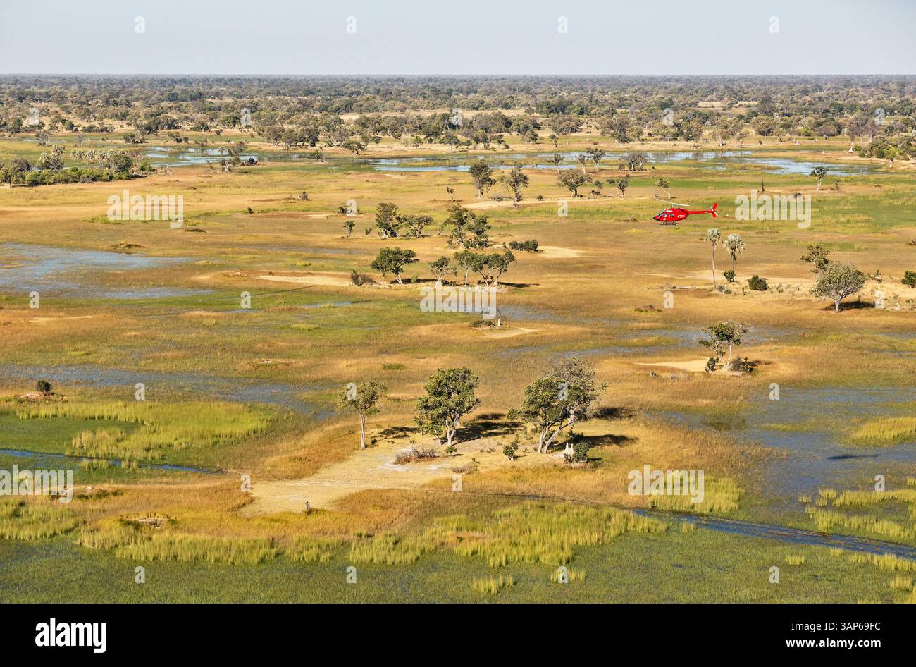 Aerial view of Freshwater marshes with streams, channels and islands ...