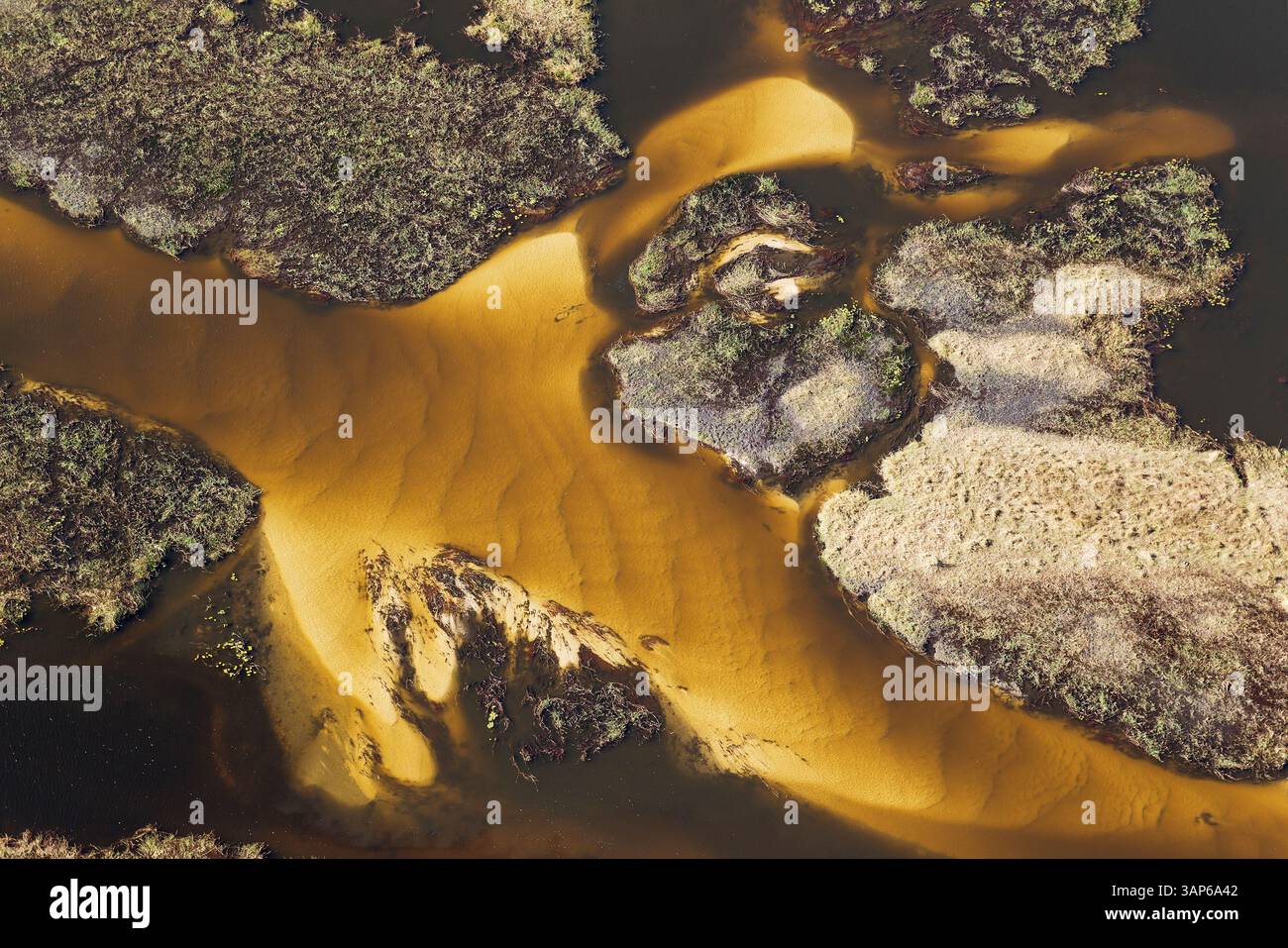 Aerial view of Typical landscape of freshwater marshes with streams ...