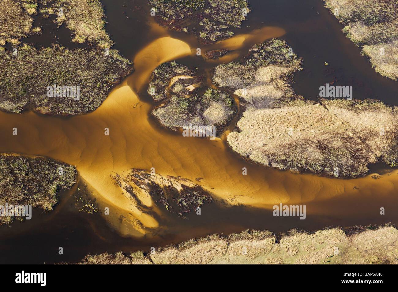 Aerial view of Typical landscape of freshwater marshes with streams ...