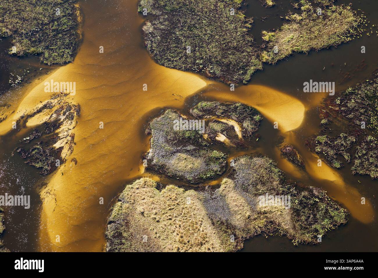 Aerial view of Typical landscape of freshwater marshes with streams ...