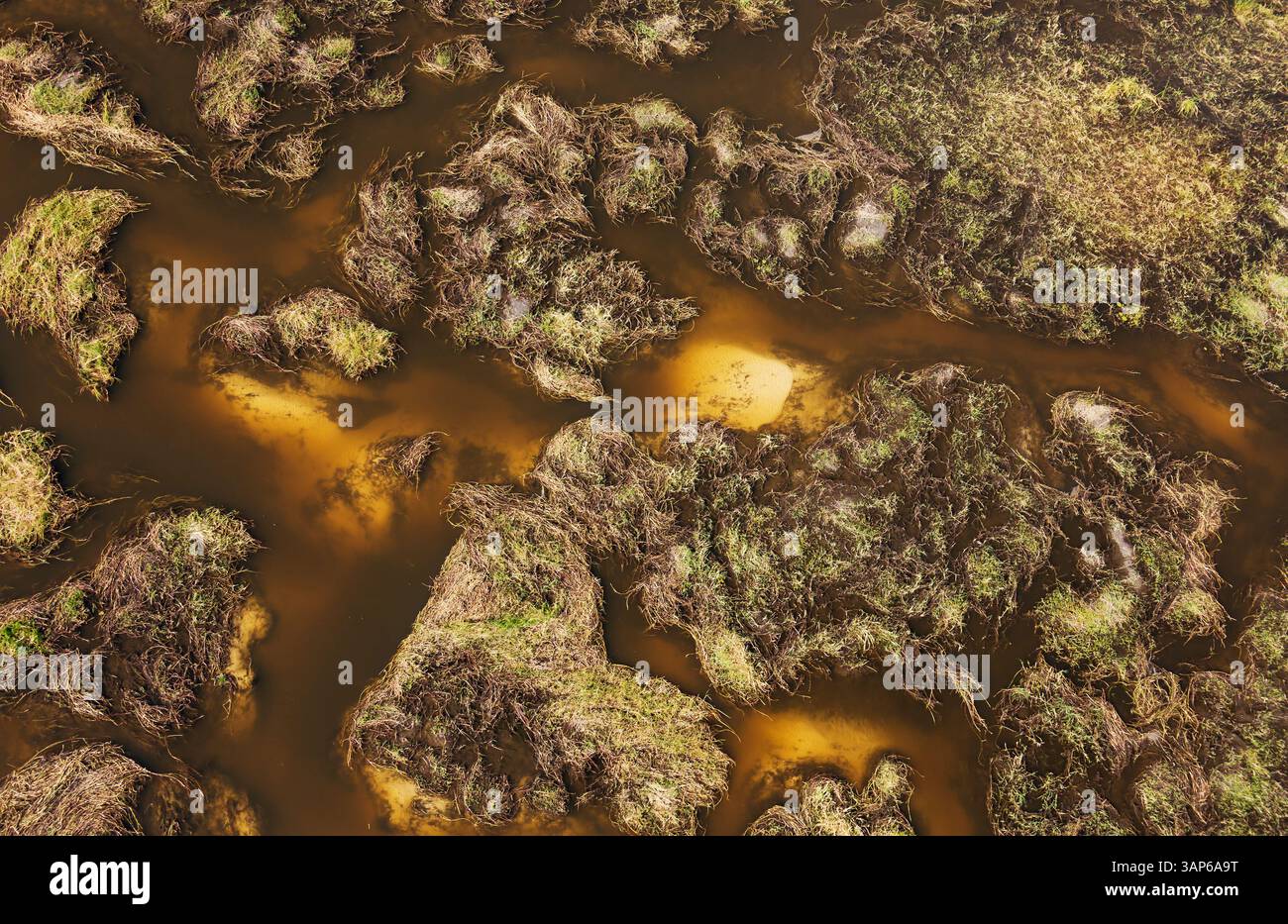Aerial view of Freshwater marshes with sandy streams, channels and ...