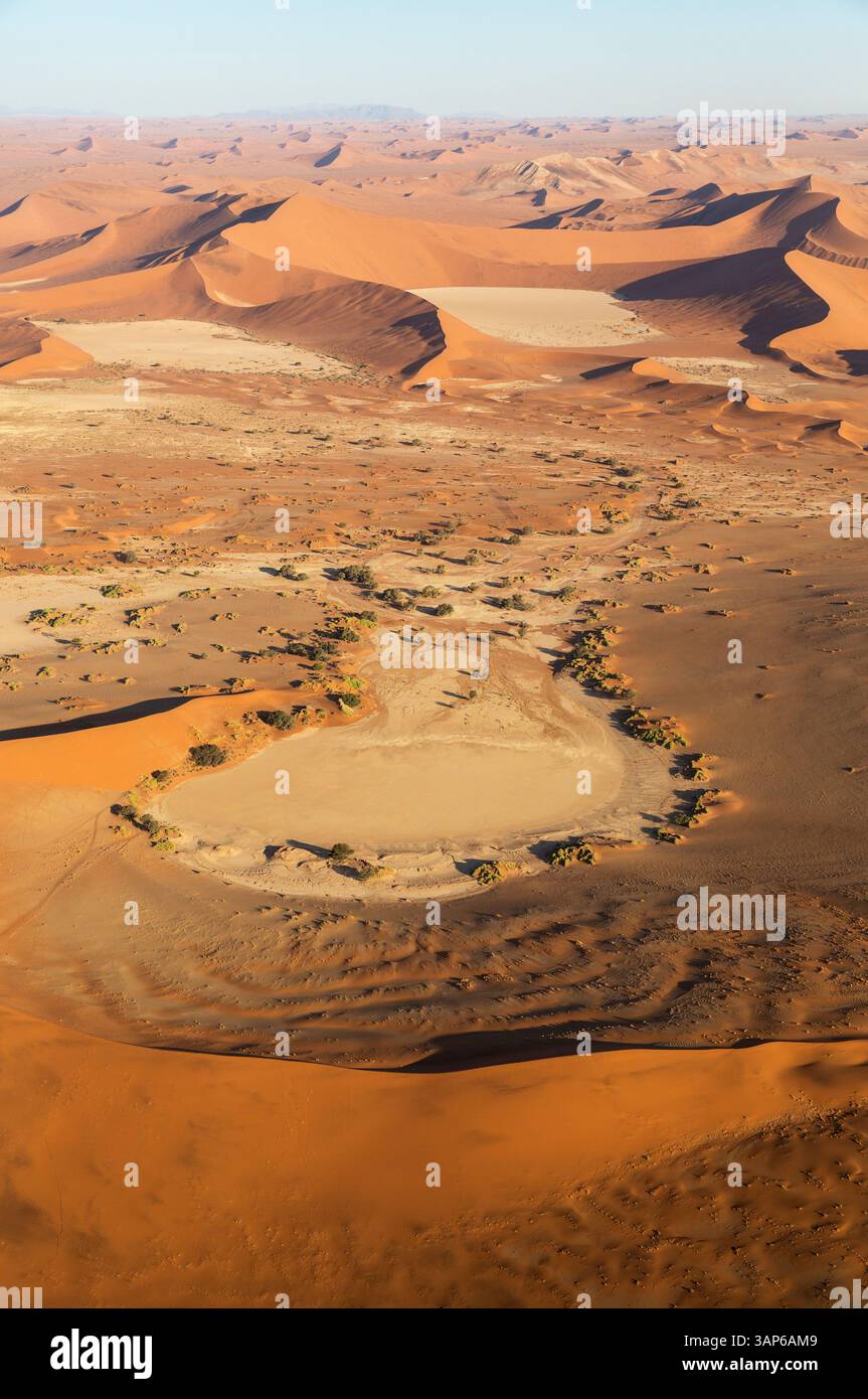 Aerial view of Sand dunes in the Namib Desert. The Camelthorn trees ...