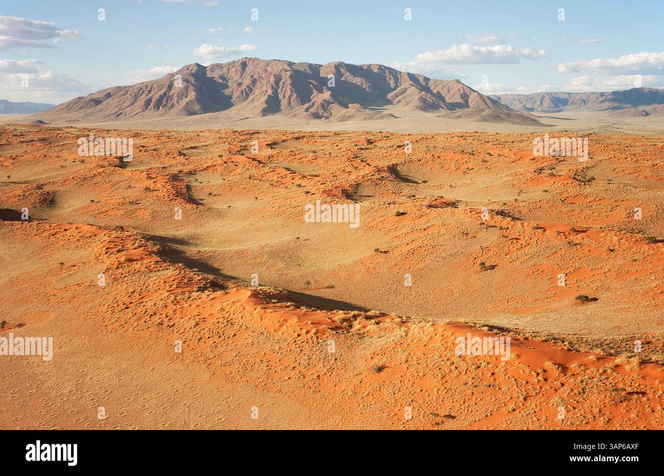 Aerial view of The desert during the rainy season from a hot-air balloon at the edge of the ...
