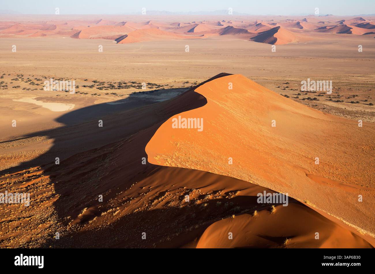 Aerial view of Sand dunes in the Namib Desert. The Camelthorn trees ...