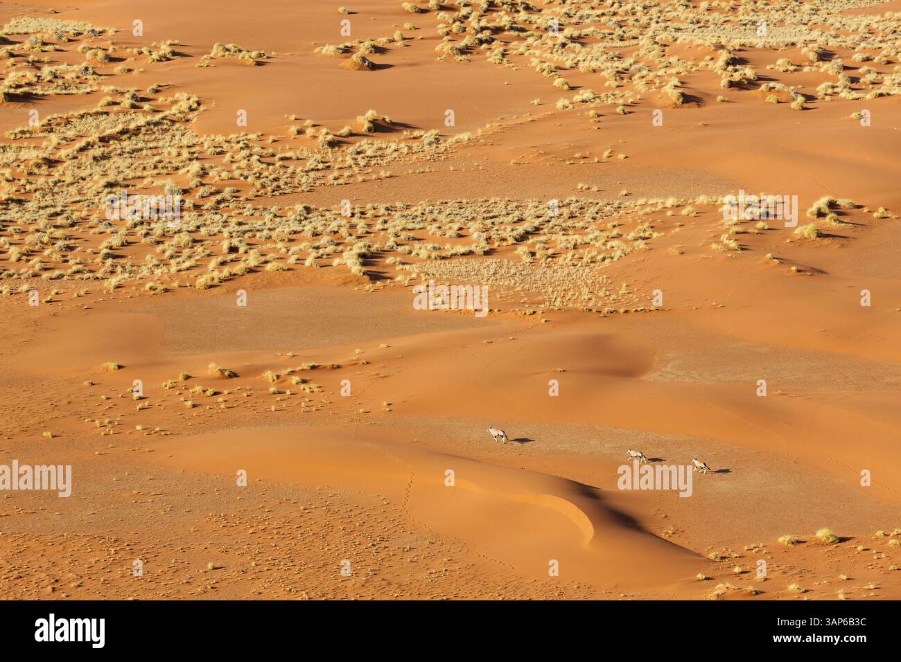 Aerial view of Arid plains and the dry riverbed of the Tsauchab river ...