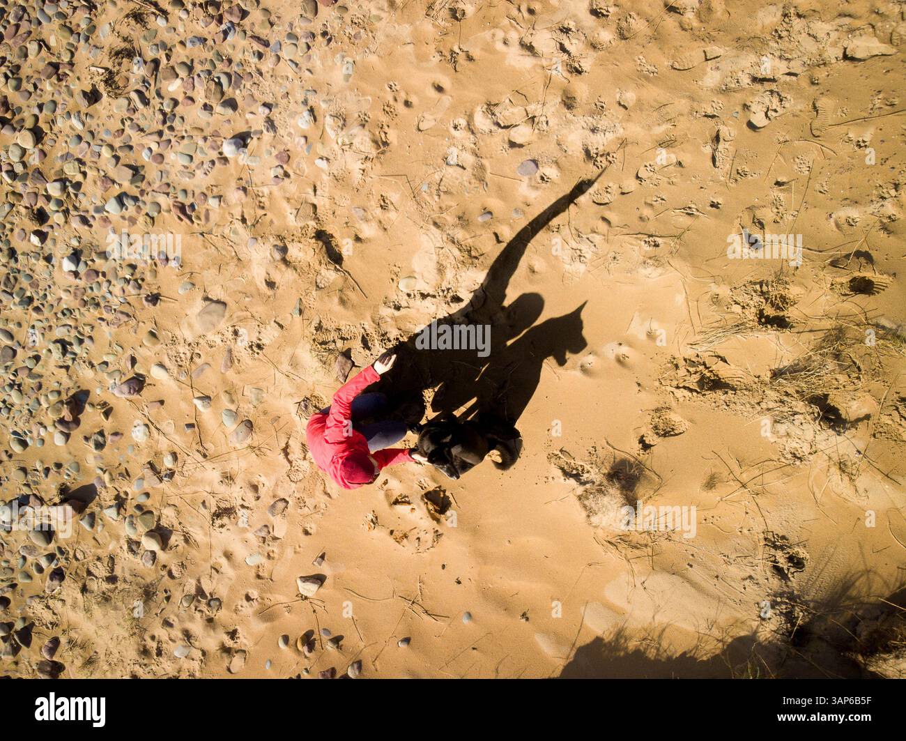 Aerial silhouette of a man with his dog, in the afternoon sun, on ...