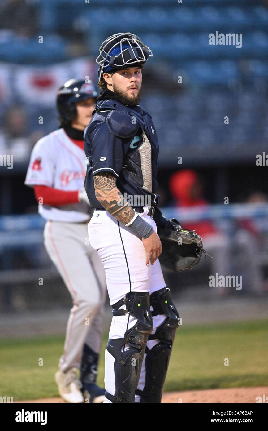 Asheville Tourists catcher Will Bush (31) during a game against the ...