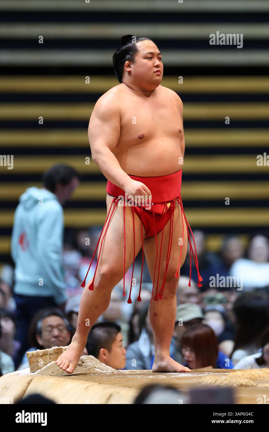 Tokyo, Japan. 15th Apr, 2025. Midorifuji Sumo : Jonan Ota Sumo ...