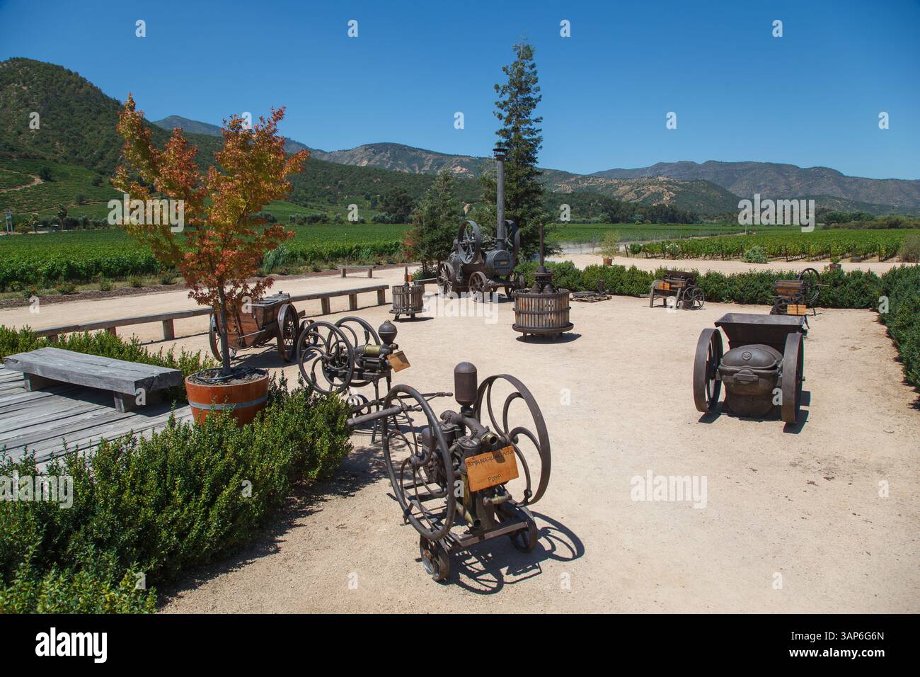 The Vintage steam locomotive in Vina Montes typical vineyard in ...