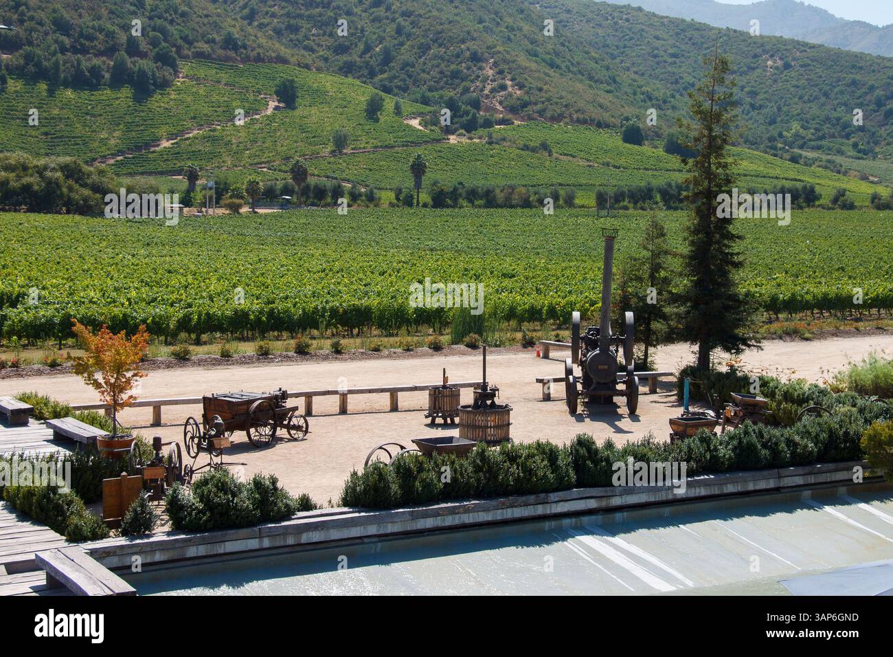 The Vintage steam locomotive in Vina Montes typical vineyard in ...