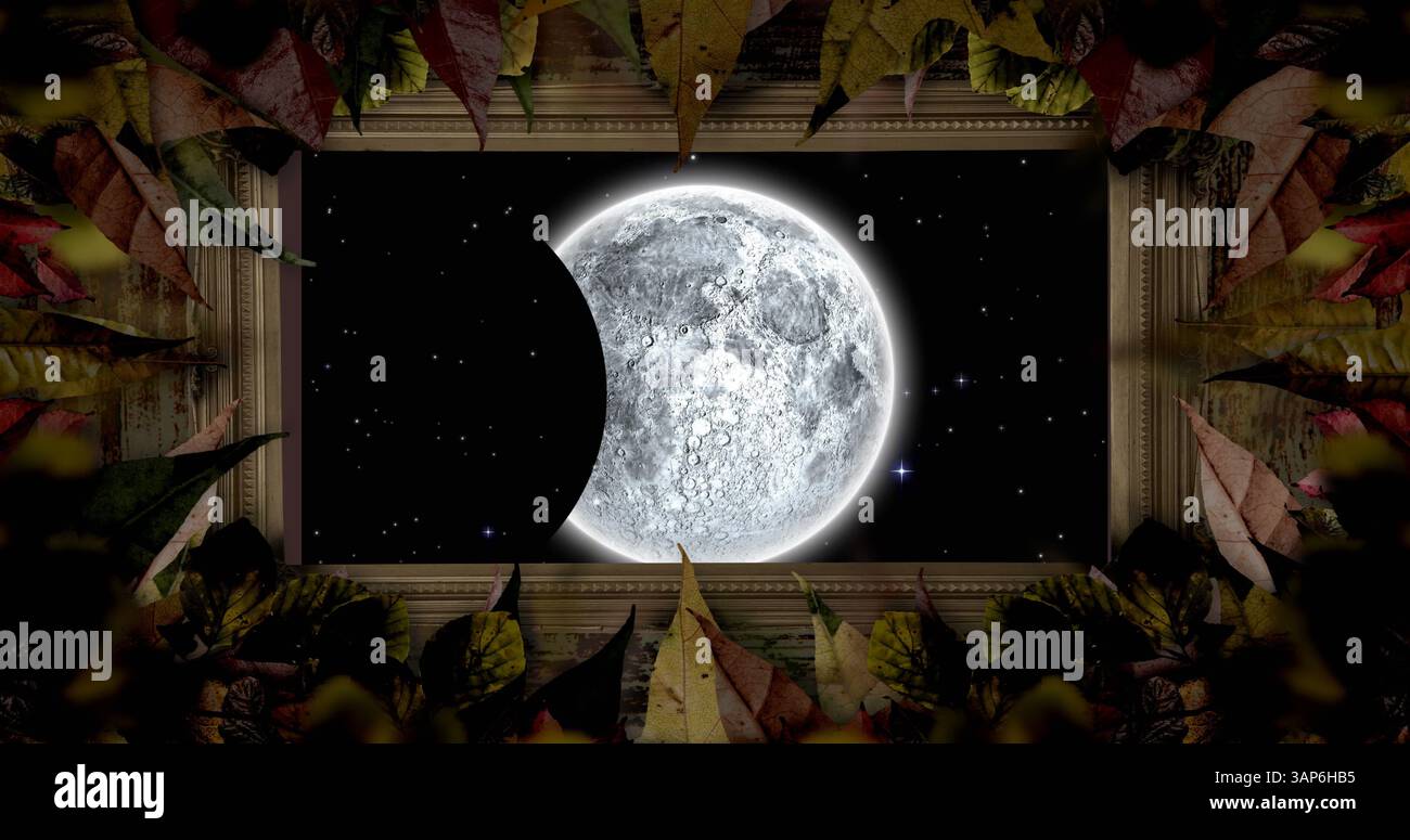 Image of moon eclipse in leaf frame Stock Photo - Alamy