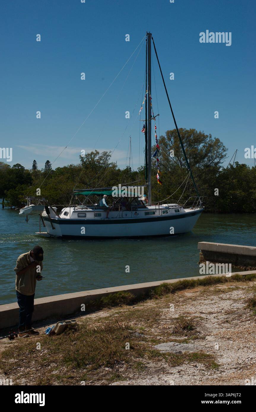 Verdant mangrove forest hi-res stock photography and images - Alamy
