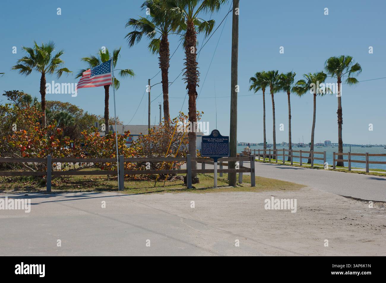 American Flag and Scenic Waterfront with Palms Under Clear Blue Sky ...